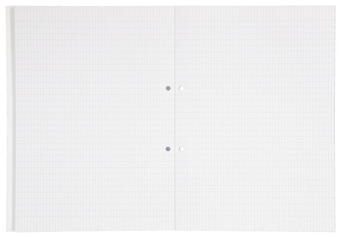 cursusblok - A4 - commercieel geruit 4x8 mm - HEMA