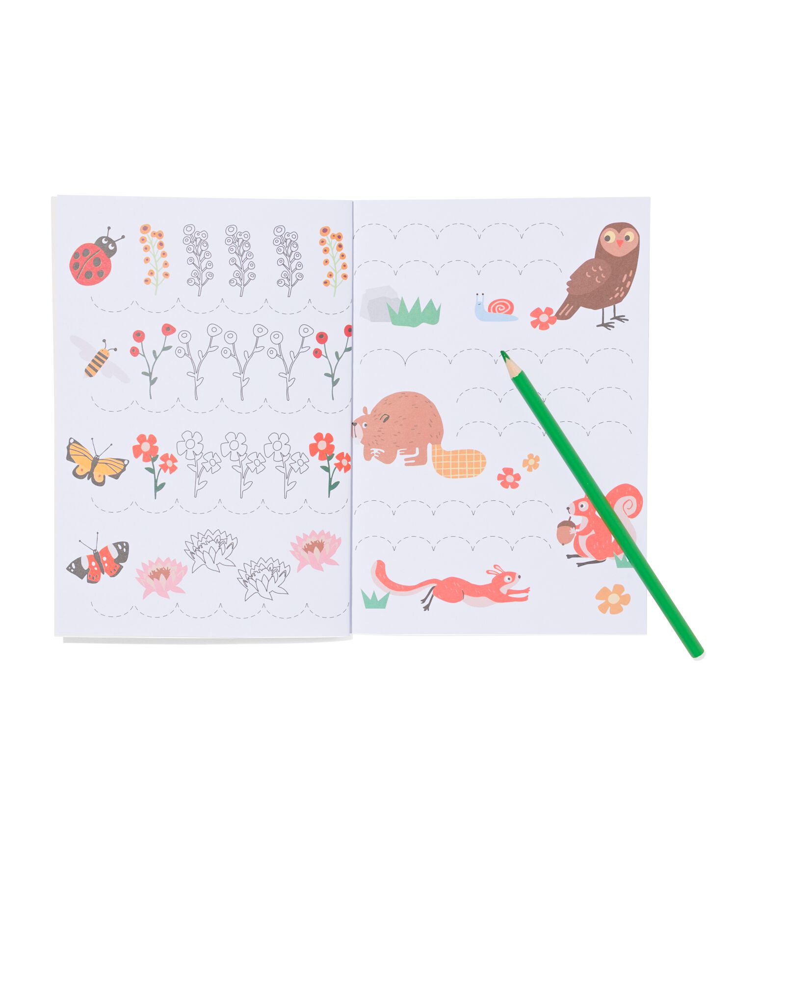 livre de coloriage et dapprentissage j’apprends à écrire 5+ - HEMA